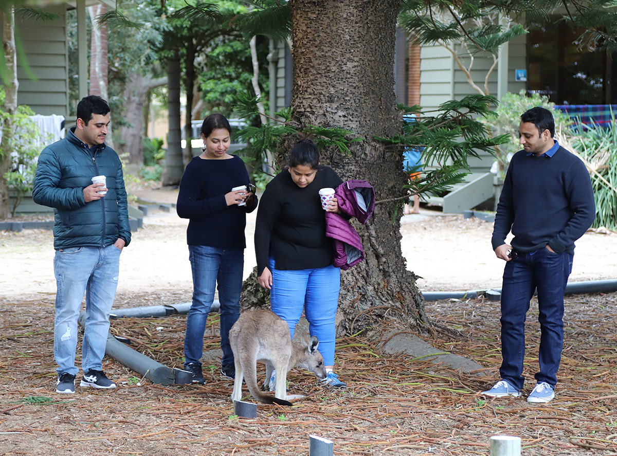 Gallery - Kinkar Saha